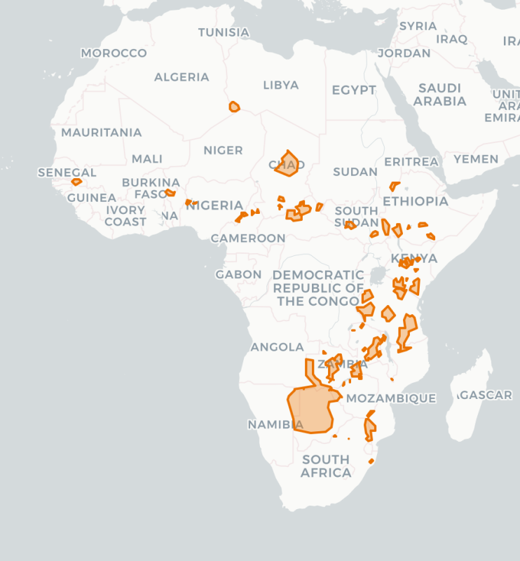 Best place to see wild dogs in Africa | Cedarberg Africa
